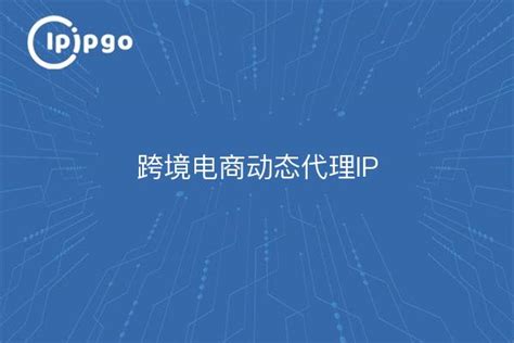 跨境电商动态代理ip ipipgo