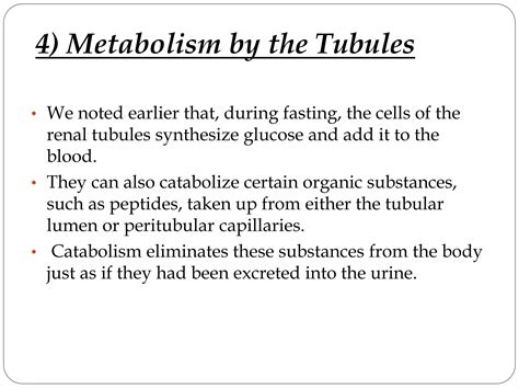 Renal Physiology Renal Structure Renal Function Renal Process Renal