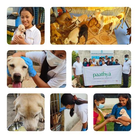 Jagadeswar Rao Palla On Linkedin “it Takes Nothing Away From A Human