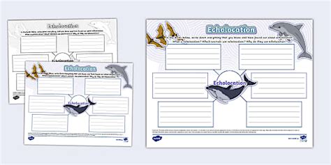 Echolocation Mind Map Twinkl Science Teacher Made Echolocation Mind Map Twinkl Science Teacher Made