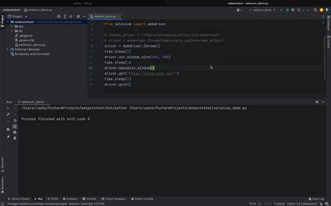 Pythonselenium实现浏览器基本操作详解python关闭浏览器窗口 Csdn博客