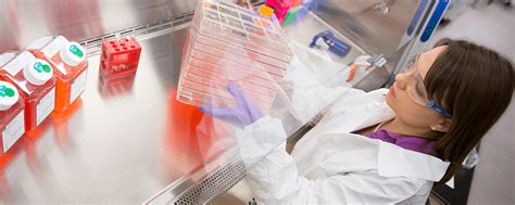 Vaccine Sciences Laboratory Services Ppd