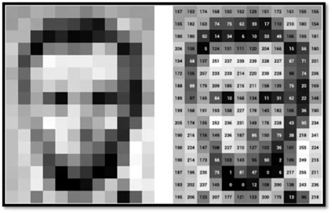 CH Digital Radiography Flashcards Quizlet