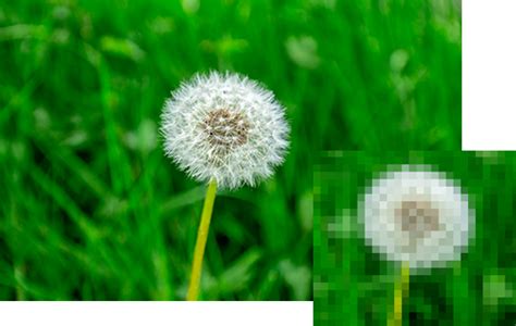 Common Image Formats When And How To Use Your Files