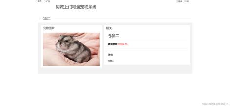 毕设 推荐算法 基于springboot同城宠物上门喂溜系统 论文 csdn博客