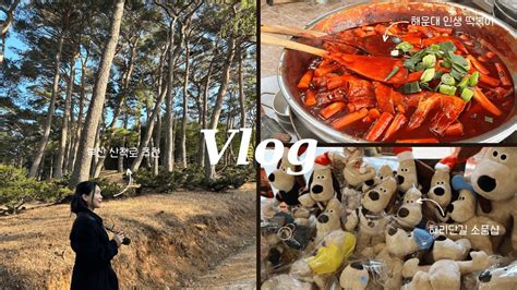3박 4일 부산 Vlog 매일 운동하며 떡볶이 먹기 책 한권 완독 혼술에 카페 투어 잔뜩 빵집 솔직 후기 걷기 좋은 코스 추천 Youtube