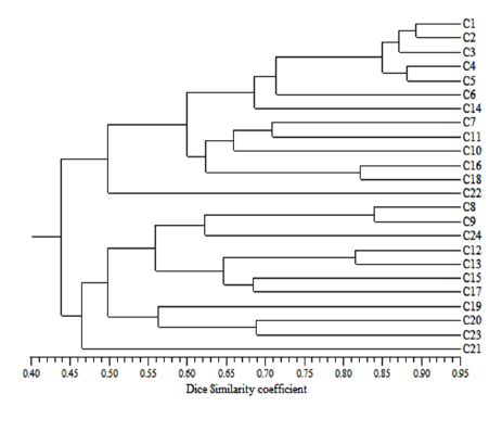 Dendrogram Generated Using Unweighted Pair Group Method With Arithmetic