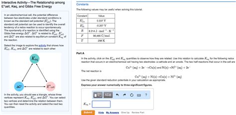 solved interactive activity the relationship among e°cell