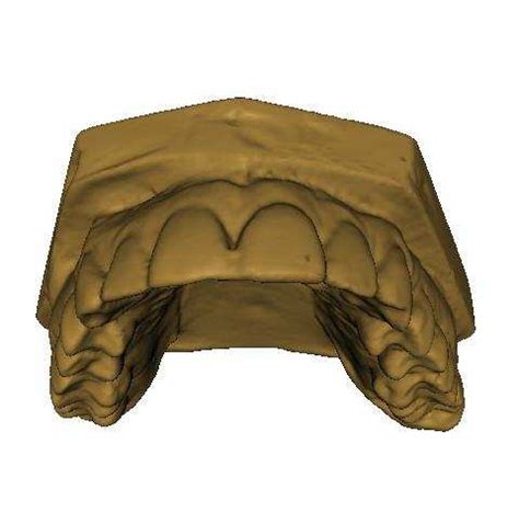 Models Used In The Experiments Download Scientific Diagram