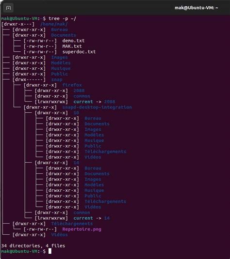 Comment Utiliser La Commande Tree Avec Des Exemples Sur Linux