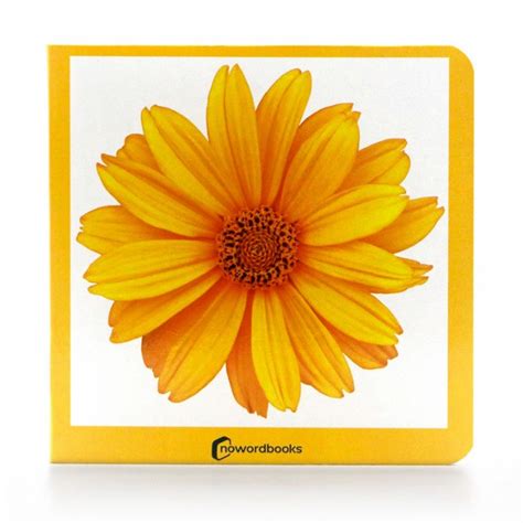 Libro Amarillo Artofit