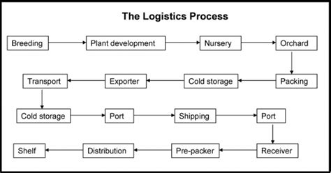 The Fresh Fruit Export Supply Chain Download Scientific Diagram