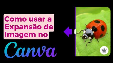 Como Usar a Expansão de Imagem no Canva | IA que Expande e Completa Imagem - YouTube