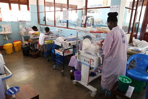 Newborn Guideline Of Care Cue Based Feeding Adara Knowledge