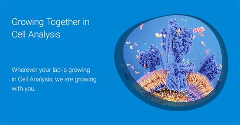 Agilent Cell Analysis On Linkedin Chemical Analysis Life Sciences And Diagnostics Agilent