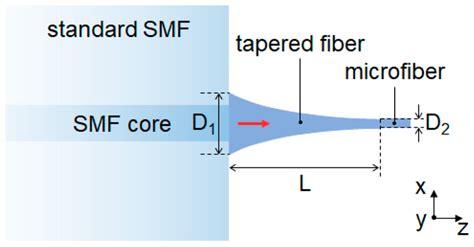 Schematic Of The Tapered Fiber On A Cleaved Standard Smf Tip A Schematic Of The Tapered Fiber On A Cleaved Standard Smf Tip A