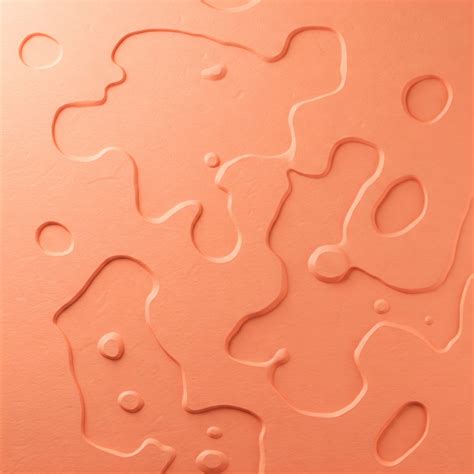 Data Encryption Algorithm Trout Glossary Definition