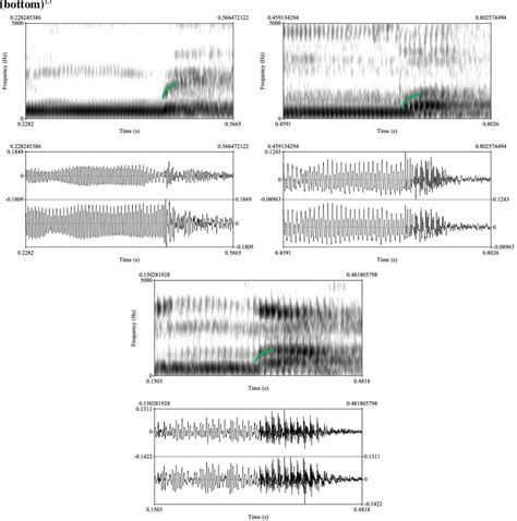 Figure 4 From Labial Velar Stops In Sakata Bantu C34 Semantic Scholar