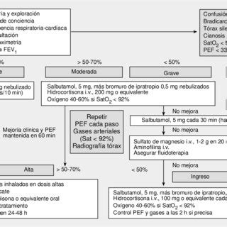 PDF Guía Española para el Manejo del Asma