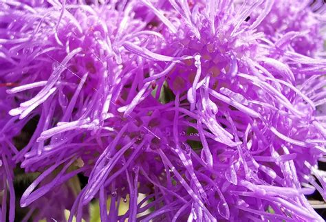 Huawei Mate Pro Review A Rapid Stunning And Feature Packed Flagship That You Ll Simply