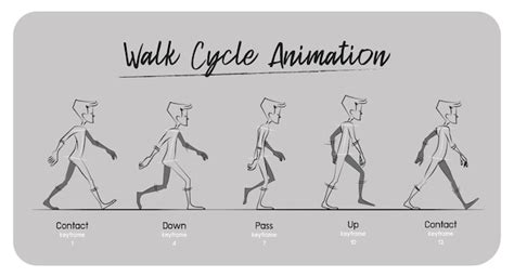 Premium Vector Character Walk And Run Cycle On Keyframe Step By Step