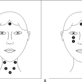 A Positioning Of Electrodes For CVEMP Ground Active Download Scientific Diagram