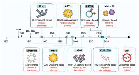 Overview Of The Main Adjuvant Types Used In Licensed Human Vaccines Download Scientific