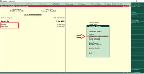 ledger report multiple company i soft computer