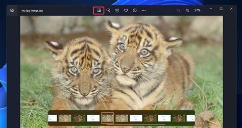 Ways To Crop Images In Windows