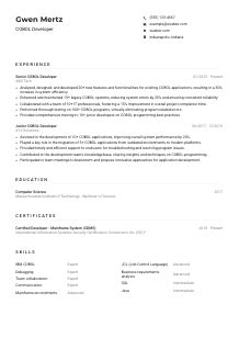 Python Developer Resume Example