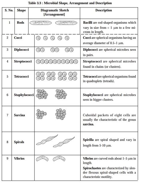 Classification Of Microbes Or Microorganisms