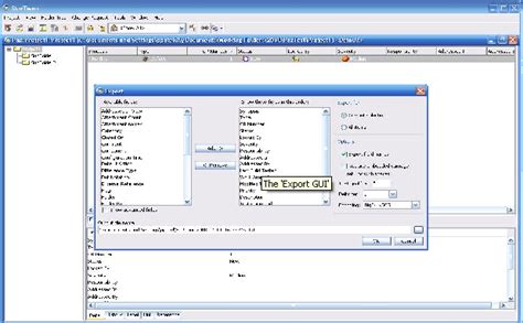 How To Modify The Default Values For The Export Gui Starteam Tips Opentext Starteam