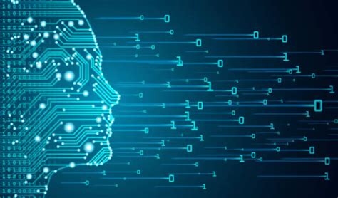 Decoding Ai Success The Complete Data Labeling Gu Ainave