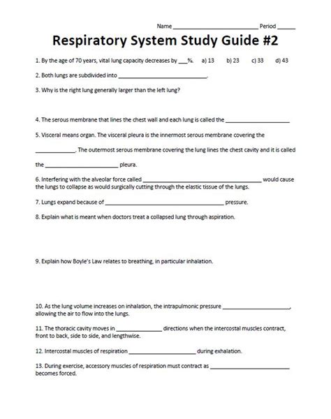 Respiratory System Worksheet Set - Worksheets Library