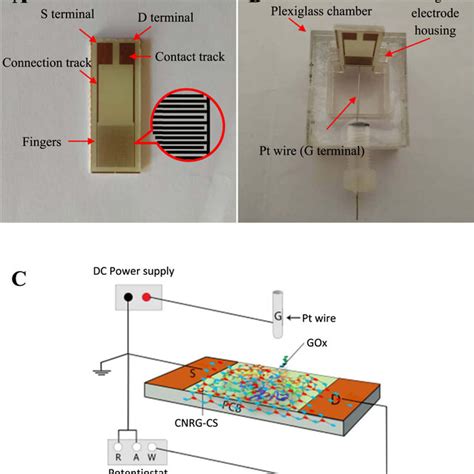 A Photograph Of A Cu Interdigitated Electrode Consisting Of Two Download Scientific Diagram