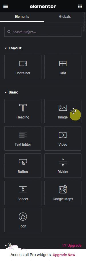 How To Fix Unable To Find The Plus Addons For Elementor Widget In Elementor Editor The Plus
