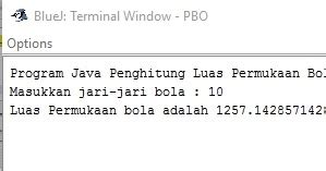 Ini Blog Program Java Luas Permukaan Bola