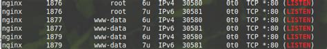 Docker Compose Traefik Failed External Connectivity 443 Already In
