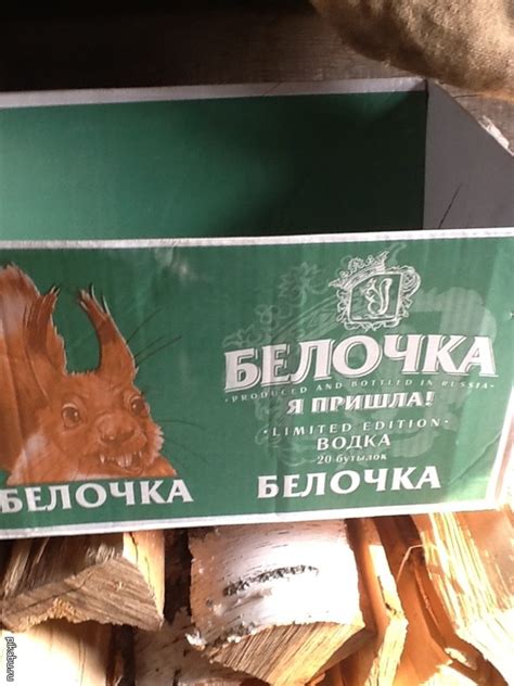 Белочка | Пикабу