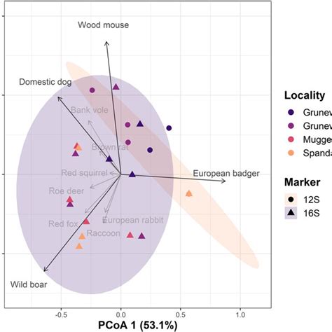 Pcoa Based On Fly Pool Data Point Shapes Represent The Different