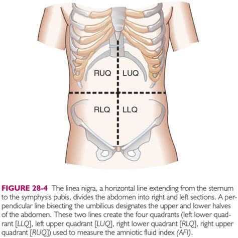 Dms 242 Bpp Abnormal Fetal Face Neck Head Flashcards Quizlet Dms 242 Bpp Abnormal Fetal Face Neck Head Flashcards Quizlet