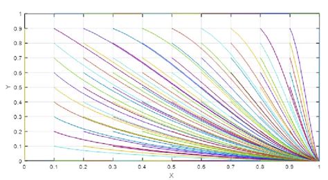 Evolutionary Path Diagram When β 1
