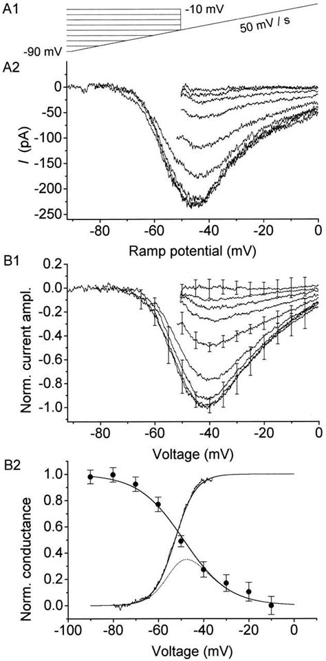 Voltage Dependence Of Inactivation Of Inap A Voltage Protocol Used Download Scientific