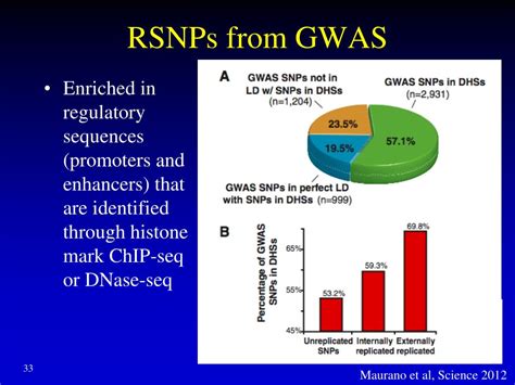 Ppt Understanding Gwas Snps Powerpoint Presentation Free Download Id4626187