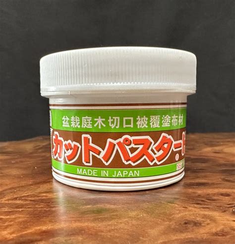 Kikuwa Non Conifer Bonsai Cut Paste G Jar Kawa No Oka Bonsai