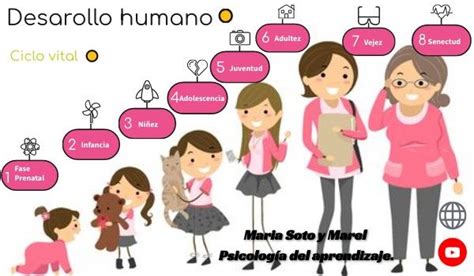 Compartido desde Genial.ly | Etapas del desarrollo, Etapas del ...