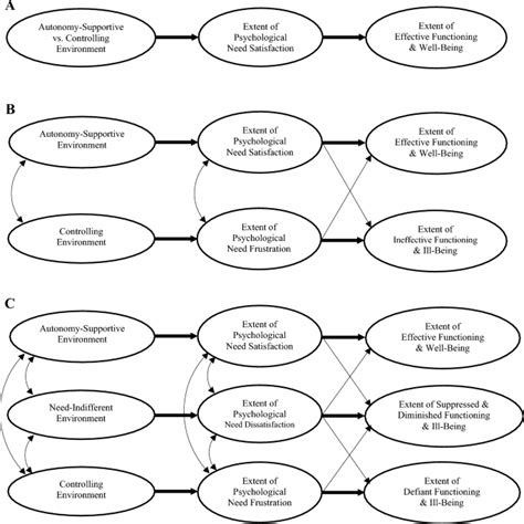 Extending Self Determination Theorys Dual Process Model To A New Tripartite Model To Explain