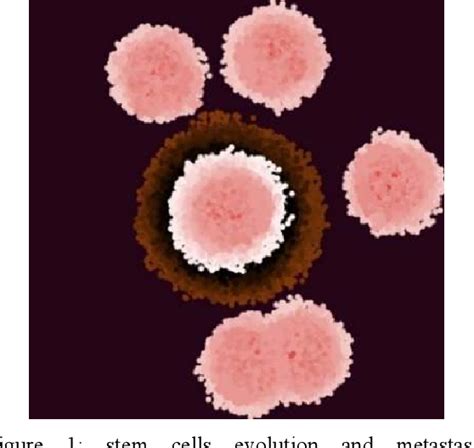 Figure From Agent Based Model For Tumour Analysis Using Python Mesa Semantic Scholar