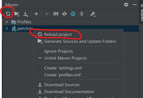 Add Reloading Project Supporting In Maven Explorer Issue Microsoft Vscode Maven GitHub