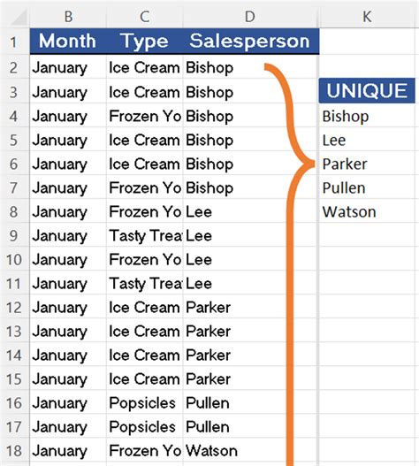 Microsoft Excel Extract A Unique List Of Values From A Column